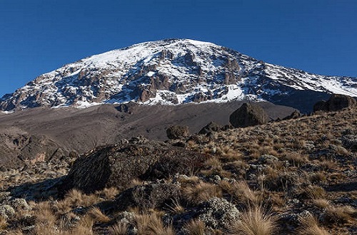Best 7-day Kilimanjaro hiking Rongai route 2024 and 2025